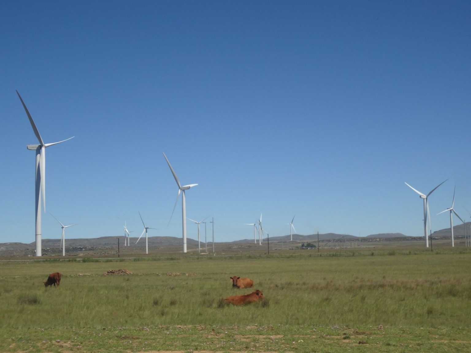 Dorper Wind Farms - Dorper Wind Farms